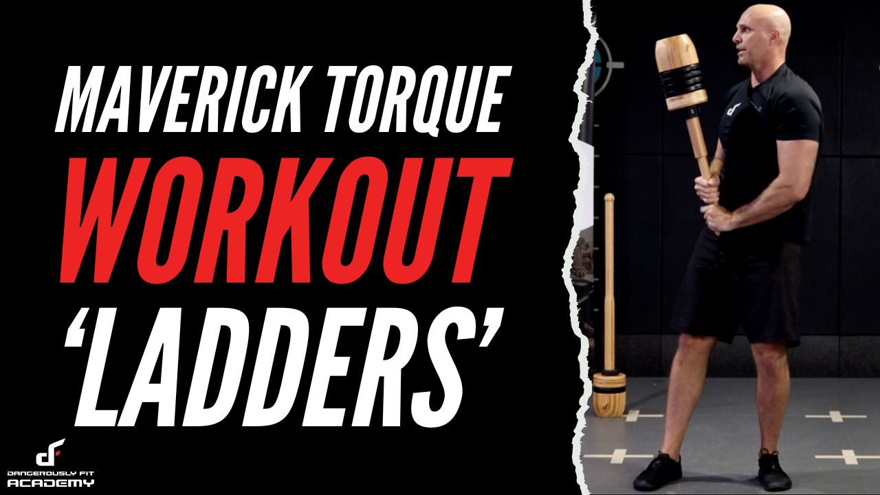 Adjustable Maverick Torque Workout - Ladders