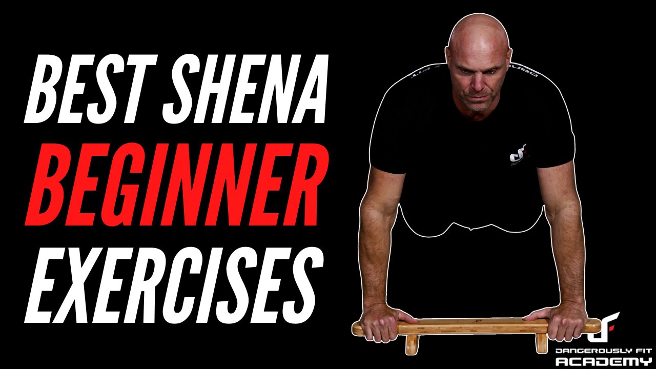 3 Shena Board Exercises for Beginners - Persian Push Ups